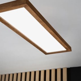 Brilagi-LED Stmívatelné svítidlo WOODY FRAME LED/50W/230V dub 120x30 cm IP44 +DO