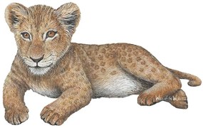 Samolepící dekorace  Lev mládě