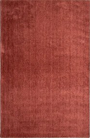 Vopi | Kusový koberec Labrador 71351-013 rust - 80 x 150 cm