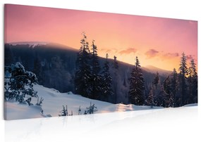 Obraz andělská křídla Rozměry kolekce: pětidílný obdélník 150x60 cm