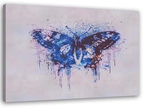 Gario Obraz na plátně Abstraktní motýl - Andrea Haase Rozměry: 60 x 40 cm