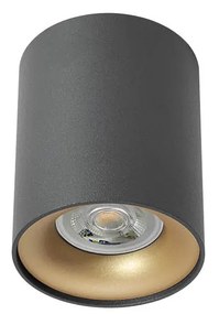 Smarter Stropní interiérové svítidlo Koa, ø80mm Barva: Černá/zlatá