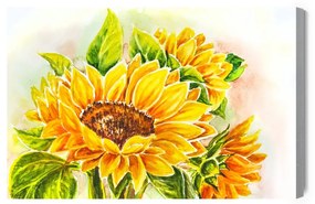 Obraz Akvarel Květy Slunečnice Nedostatek Nedostatek Plátno Canvas 90x60