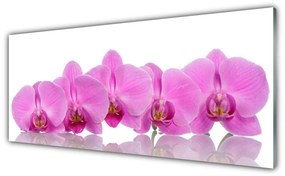 Plexisklo-obraz Růžová Orchidej Květiny 125x50 cm