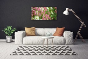 Obraz na plátně Polní Květiny Louka Příroda 100x50 cm