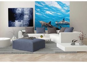 DIMEX | Vliesová fototapeta na zeď Delfíni MS-3-0218 | 225 x 250 cm | šedá, modrá