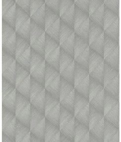 Vliesová 3D tapeta 687903 geometrická šedá, stříbrná / Tapety na zeď Tropical House (0,53 x 10,05 m) Rasch