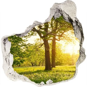 Wallmuralia Nálepka fototapeta 3D výhled Stromy v parku 75x75 cm