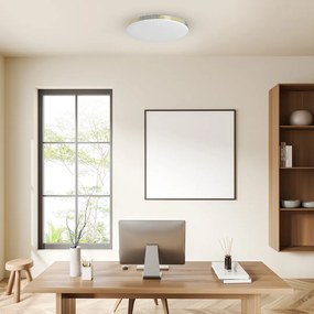 Stropní LED svítidlo Bever, 1x LED 16w, 4000k, g