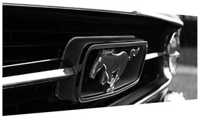 Detailní obraz automobilu značky Mustang  (100x40 cm)