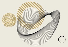 Fototapeta - Abstraktní linie a kruhy (245x170 cm)