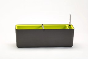Samozavlažovací truhlík Berberis antracit/zelená 60 cm
