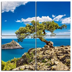 Obraz na plátně - Borovice na útesu - čtverec 349D (100x100 cm)