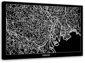 Gario Obraz na plátně Plán města Tokio Rozměry: 60 x 40 cm
