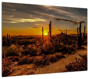 Skleněný obraz - Konec dne v arizonské poušti (70x50 cm)