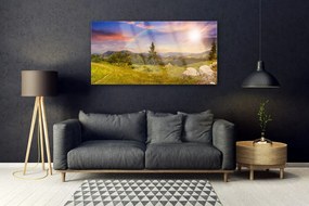 Plexisklo-obraz Hory Louka Kameny Příroda 120x60 cm