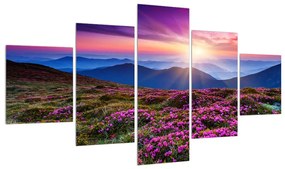 Obraz horské rozkvetlé krajiny (125x70 cm)