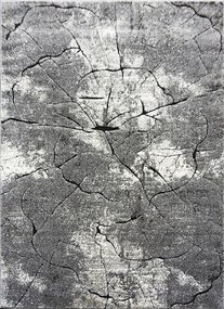 Berfin Dywany Kusový koberec Miami 129 Grey Rozměry koberců: 80x150