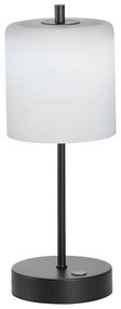 Černobílá LED stmívatelná stolní lampa (výška 34,5 cm) Riva – Fischer &amp; Honsel
