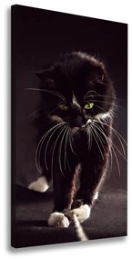 Wallmuralia Vertikální Vertikální Foto obraz na plátně do obýváku Černá kočka 50x100