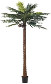 Okrasná palma v květináči Palm - Ø190*350cm