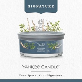 Yankee Candle vonná svíčka Signature Tumbler 5 knotů Bayside Cedar 340 g