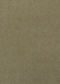 Koberce Breno Metrážový koberec FORTESSE SDE NEW 40, šíře role 400 cm, Hnědá, Vícebarevné