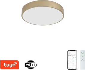 BRILAGI-LED Stmív. svítidlo POOL SMART LED/48W/230V 40 cm Wi-Fi Tuya zlatá + DO