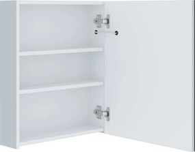 LED koupelnová skříňka se zrcadlem 50 x 13,5 x 60 cm 285115