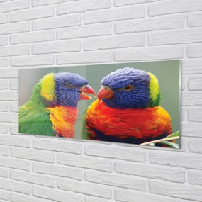 akrylový obraz barevný papoušek 120x60 cm