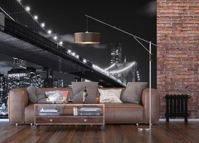 Fototapeta na zed' Noční Brooklynský Most | 360 x 254 cm | DFTS1305