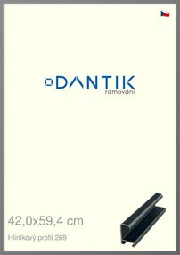DANTIK rámeček 42x59,4 | ALU profil 7269 Platina matná (Plexi Čiré)