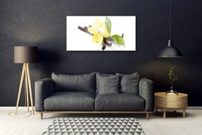 Obraz na skle Vanilka Listy Rostlina 100x50 cm