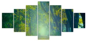Obraz cesty lemované stromy (210x100 cm)