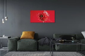 Obrazy na plátně pepř voda 120x60 cm