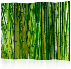Paraván Bamboo Forest Dekorhome 225x172 cm (5-dílný)