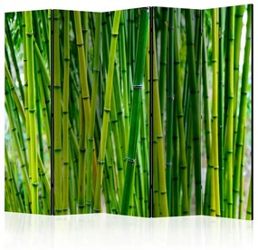 Paraván Bamboo Forest Dekorhome 135x172 cm (3-dílný)