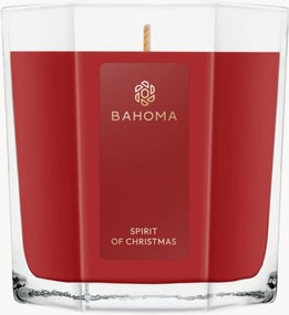 Vonná svíčka Spirit Of Christmas (černý rybíz, skořice)