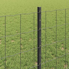 Euro plot s pilotem 10 x 0,8 m Ocel potažená PVC Šedá Síťovina 3336080