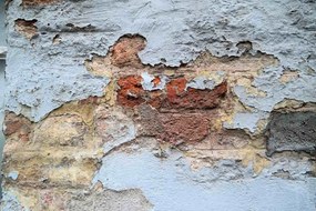 DIMEX | Samolepicí vliesová fototapeta na zeď Stará oprýskaná omítka MA-5-2679 | 375 x 250 cm | bílá, béžová