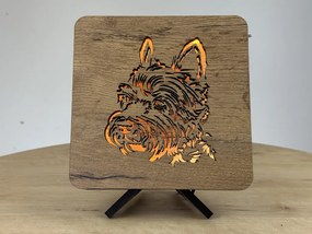 Li-Go "Teriér" lampa 19x19cm provedení povrchu: dub