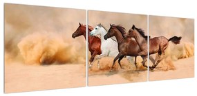 Obraz koní (150x50 cm)