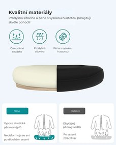 Kancelářská židle ERGO se sklopnými područkami, max. 120 kg, černá SongmicsHome