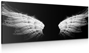 Obraz černobílé andělská křídla Varianta: 100x50