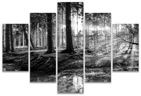 Malvis ® Obraz černobílá pohoda lesa Velikost: pětidílné schody - 100x50 cm