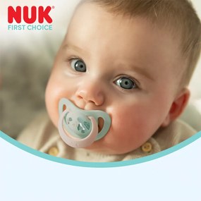 NUK Dudlík First Choice Night 0-6 m 2 ks  Hippo/Koala
