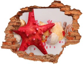 Wallmuralia Díra 3D fototapeta Hvězdice a mušle 90x70 cm