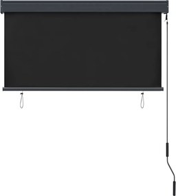 vidaXL Marketos Venkovní roleta 120 x 250 cm antracitová