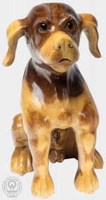 DOG XL - pes ze suaru