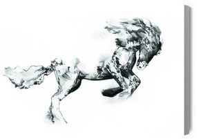 Obraz Kůň Jak Načrtnut Nedostatek Nedostatek Přírodní plátno 100x70